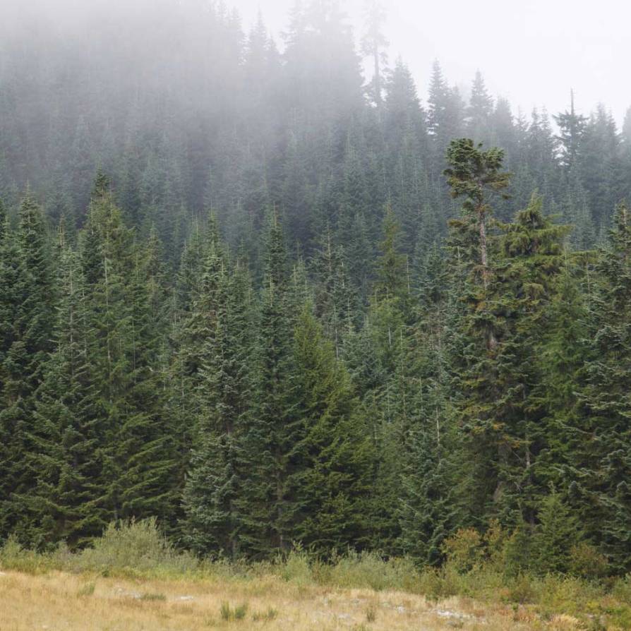 9 Natural Shelters that will Save Your Life