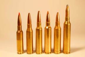 The Great 6.5 Shootout