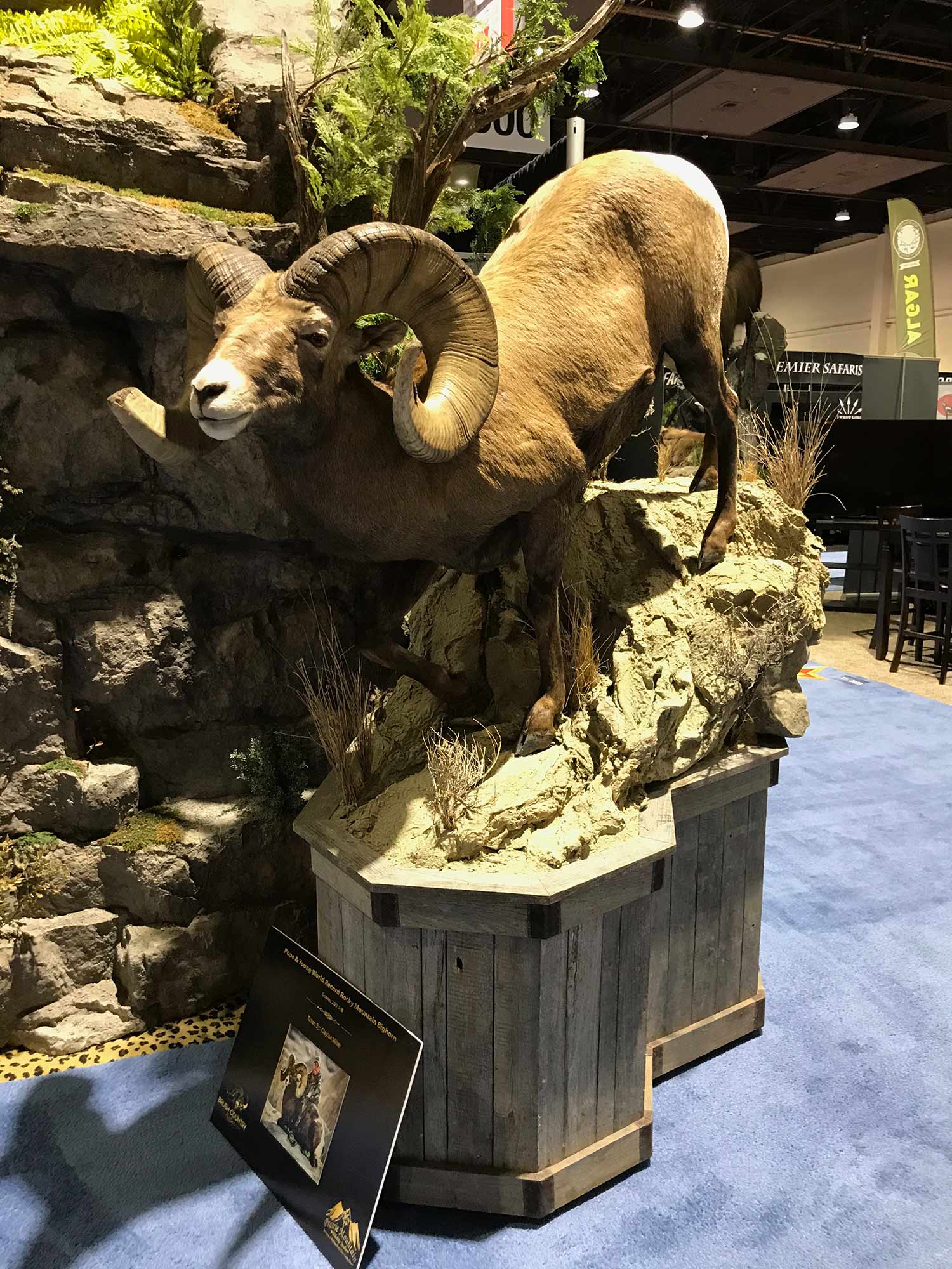 13 Amazing Animal Mounts