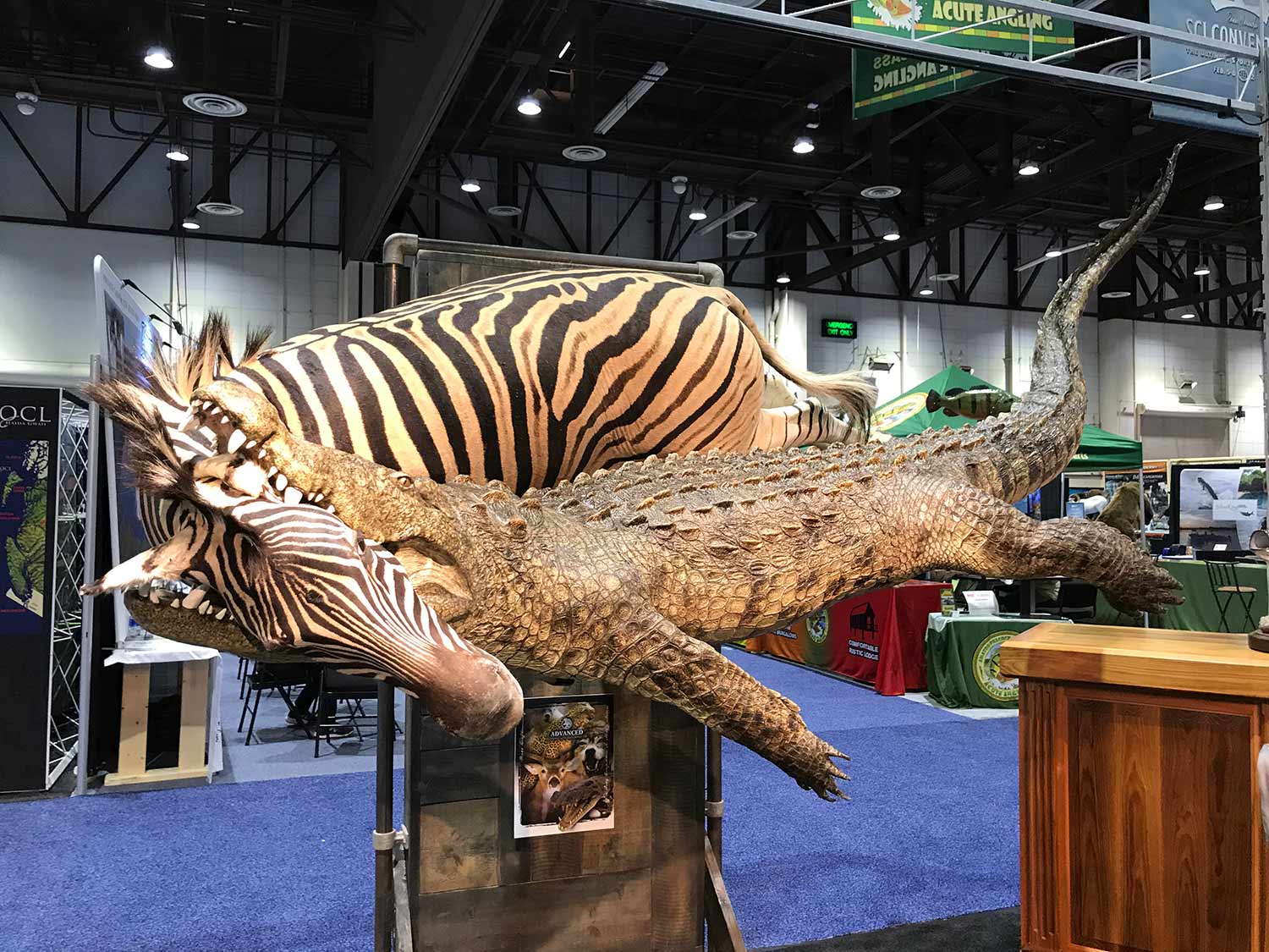 13 Amazing Animal Mounts