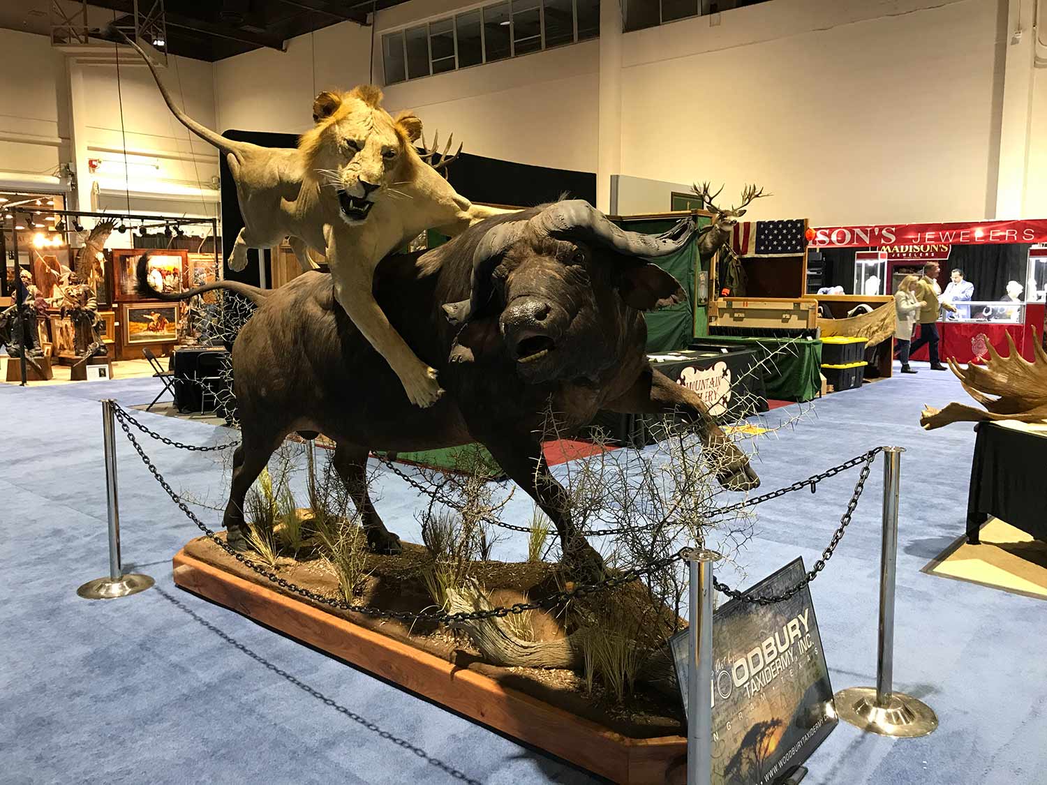 13 Amazing Animal Mounts