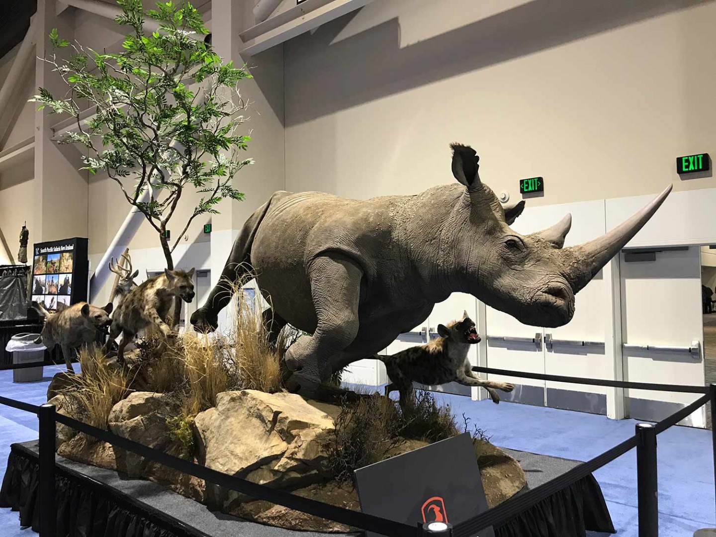 13 Amazing Animal Mounts