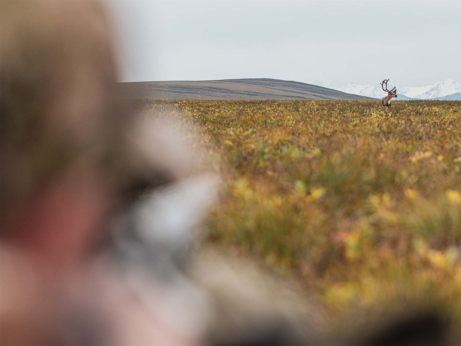 A Raft Hunt for Caribou in the Alaskan Tundra