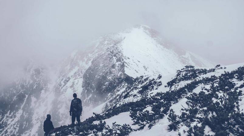 Survival Skills: 5 Attributes You Need for a Survivor's Mindset
