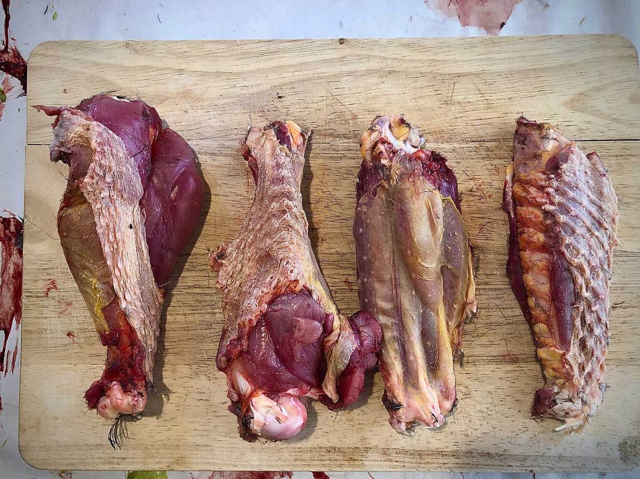 How to Butcher a Turkey (and Get Every Last Cut of Meat)