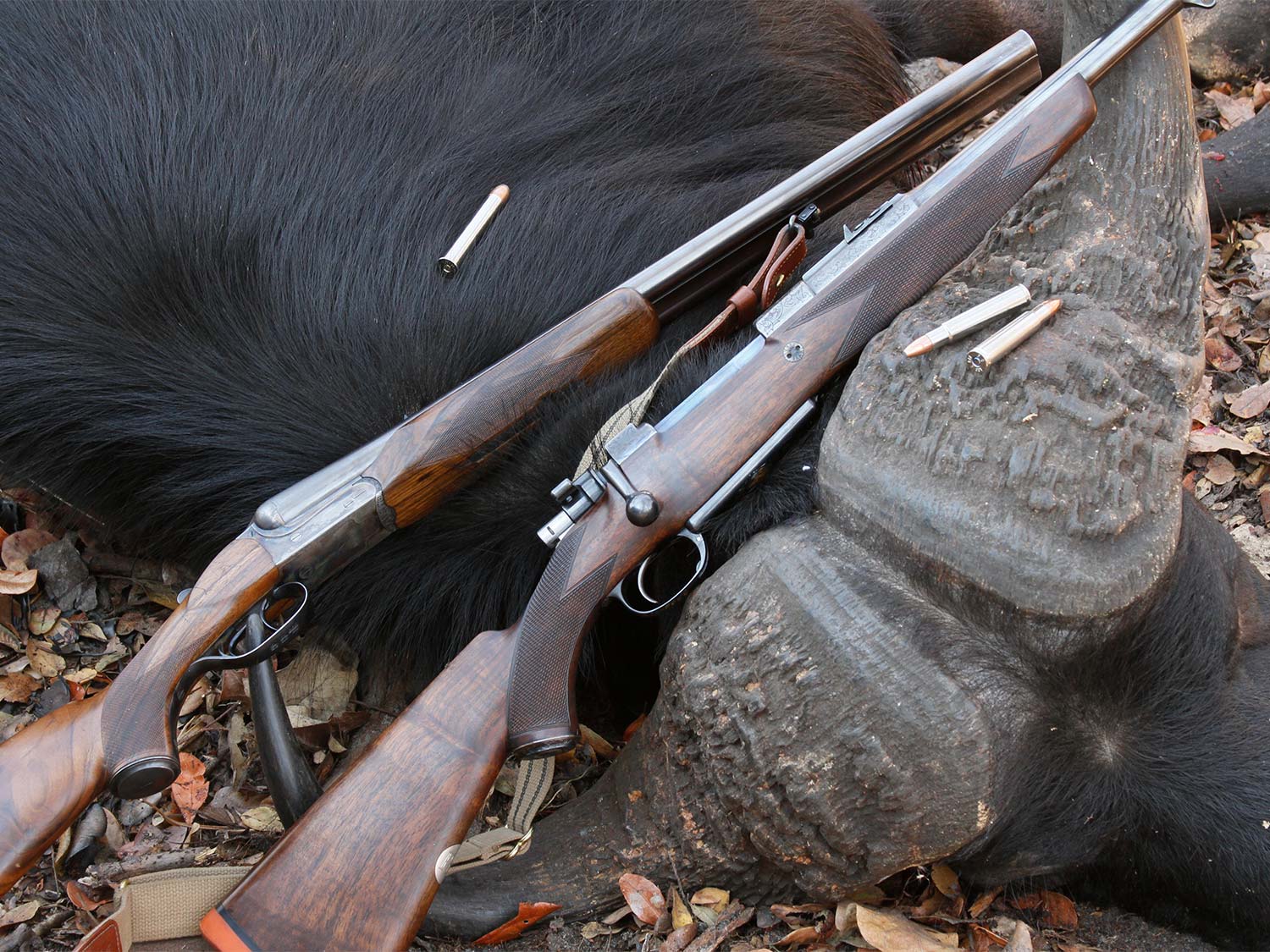 The Most Iconic Rifles and Cartridges from African Safaris