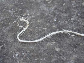 How to Process and Use Animal Sinew