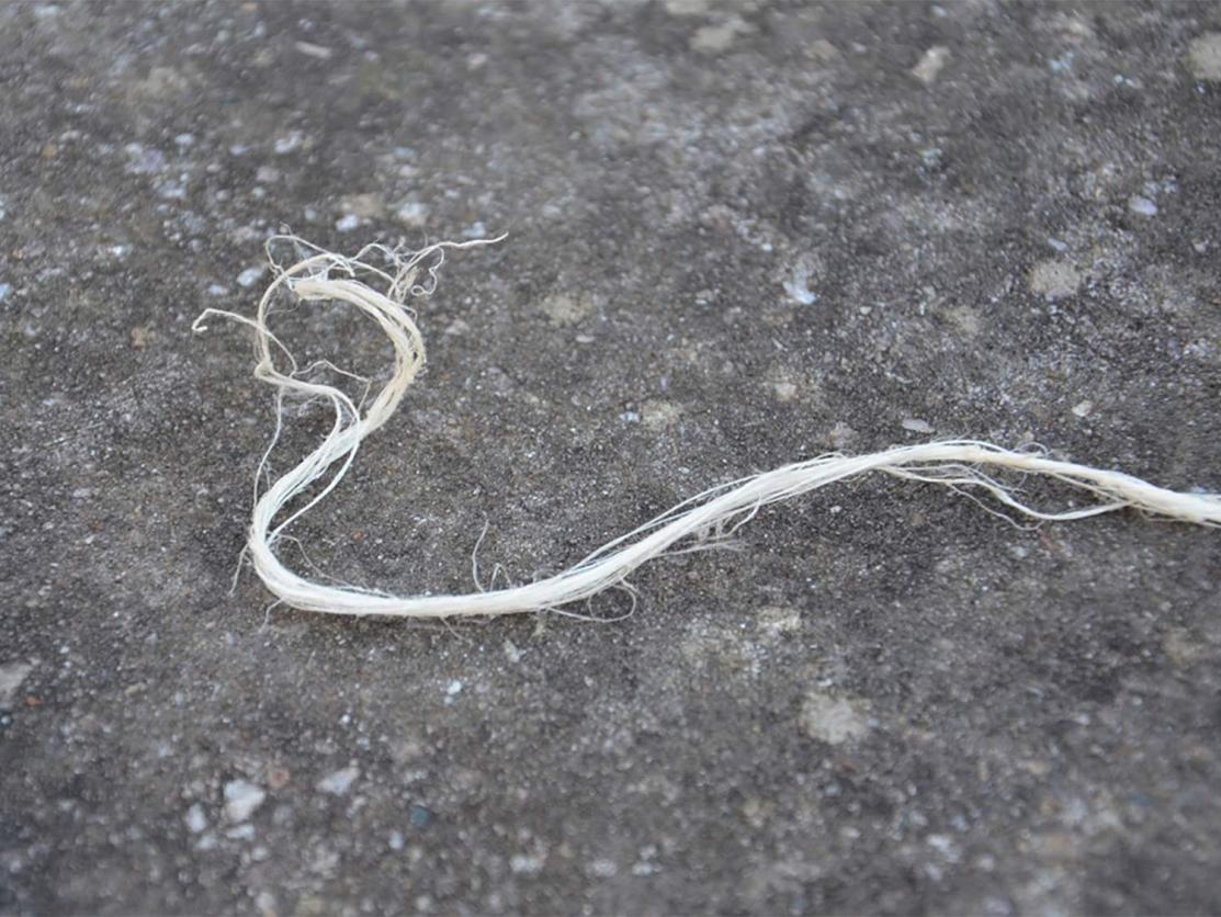 How to Process and Use Animal Sinew