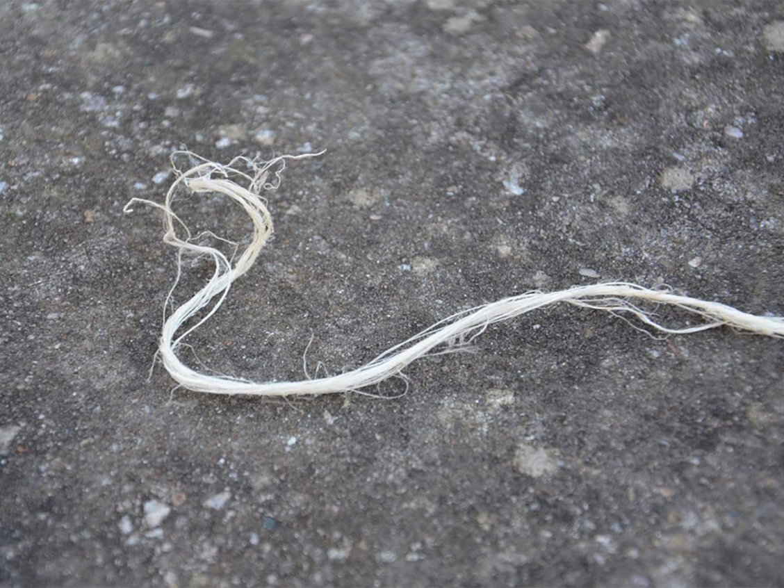 How to Process and Use Animal Sinew