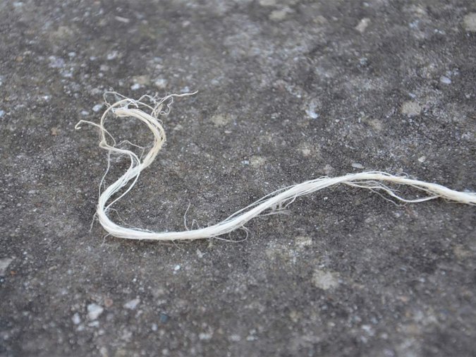 How to Process and Use Animal Sinew