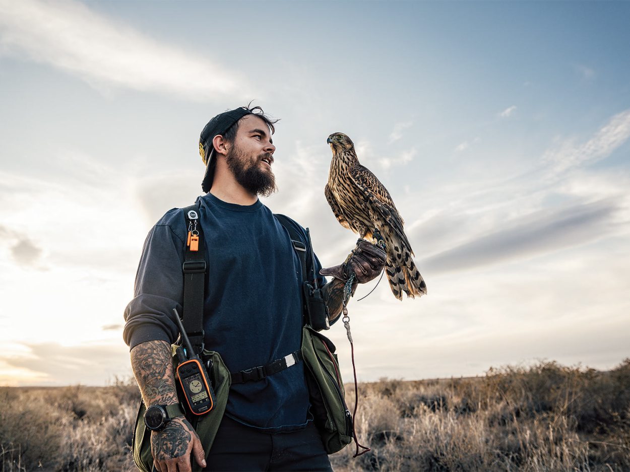 Photos: Falconry Demands Discipline, Stamina, and a Pack of Bird Dogs