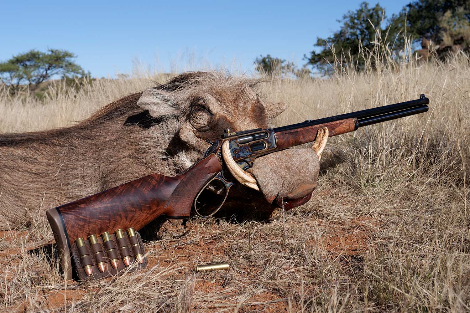 How to Buy Your First Nice Hunting Rifle