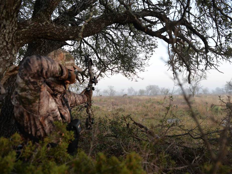How to Age Deer | Outdoor Life