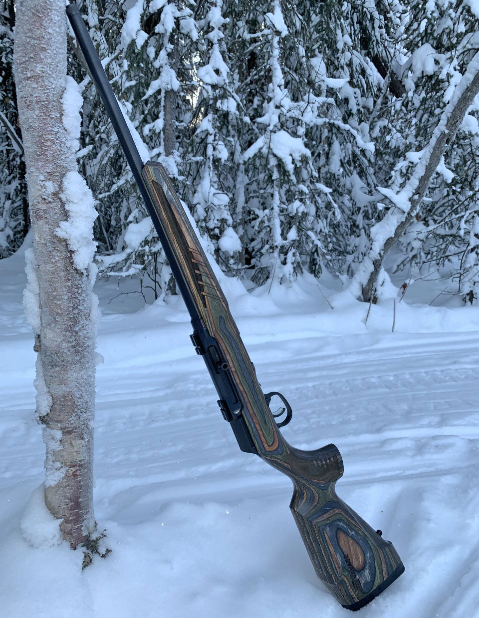 The Savage A22 BNS-SR Brings “Real Rifle Feel” in a .22 LR Platform