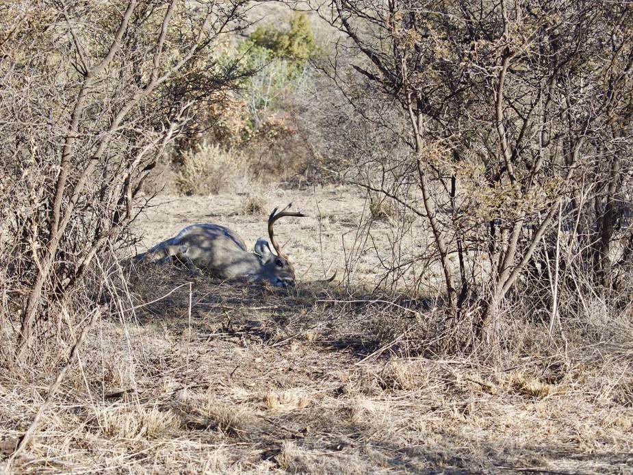 Every Hunter Should Know What the Lacey Act Is | Outdoor Life