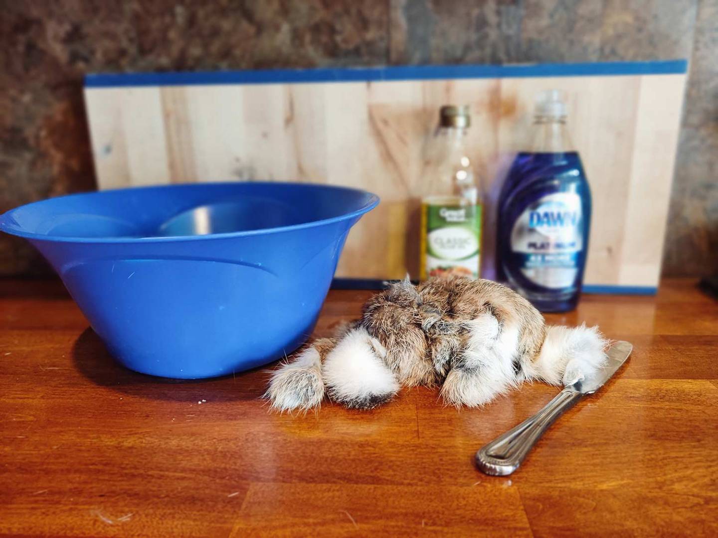 How to Soap-Tan a Rabbit Hide