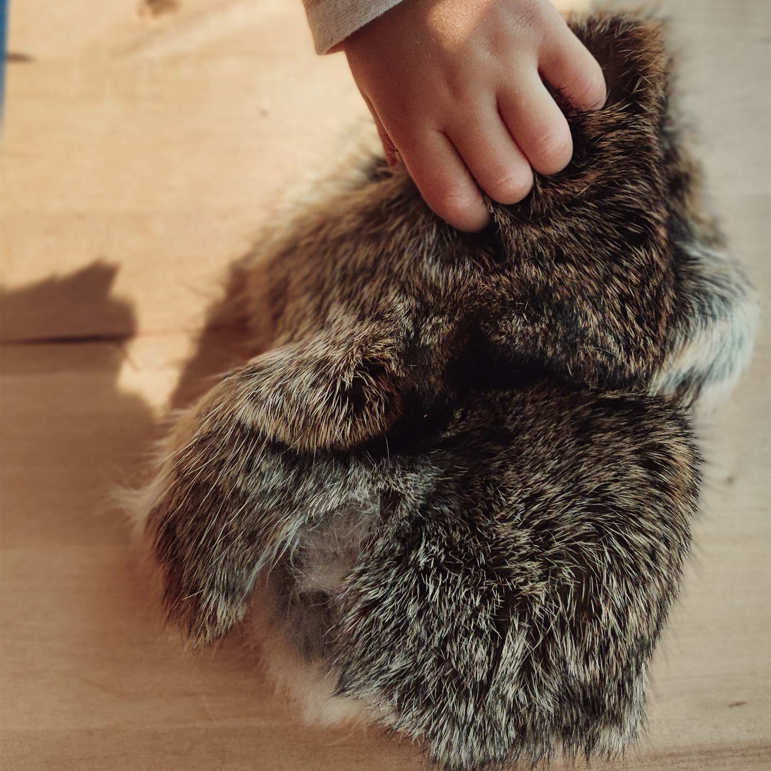 How to Soap-Tan a Rabbit Hide