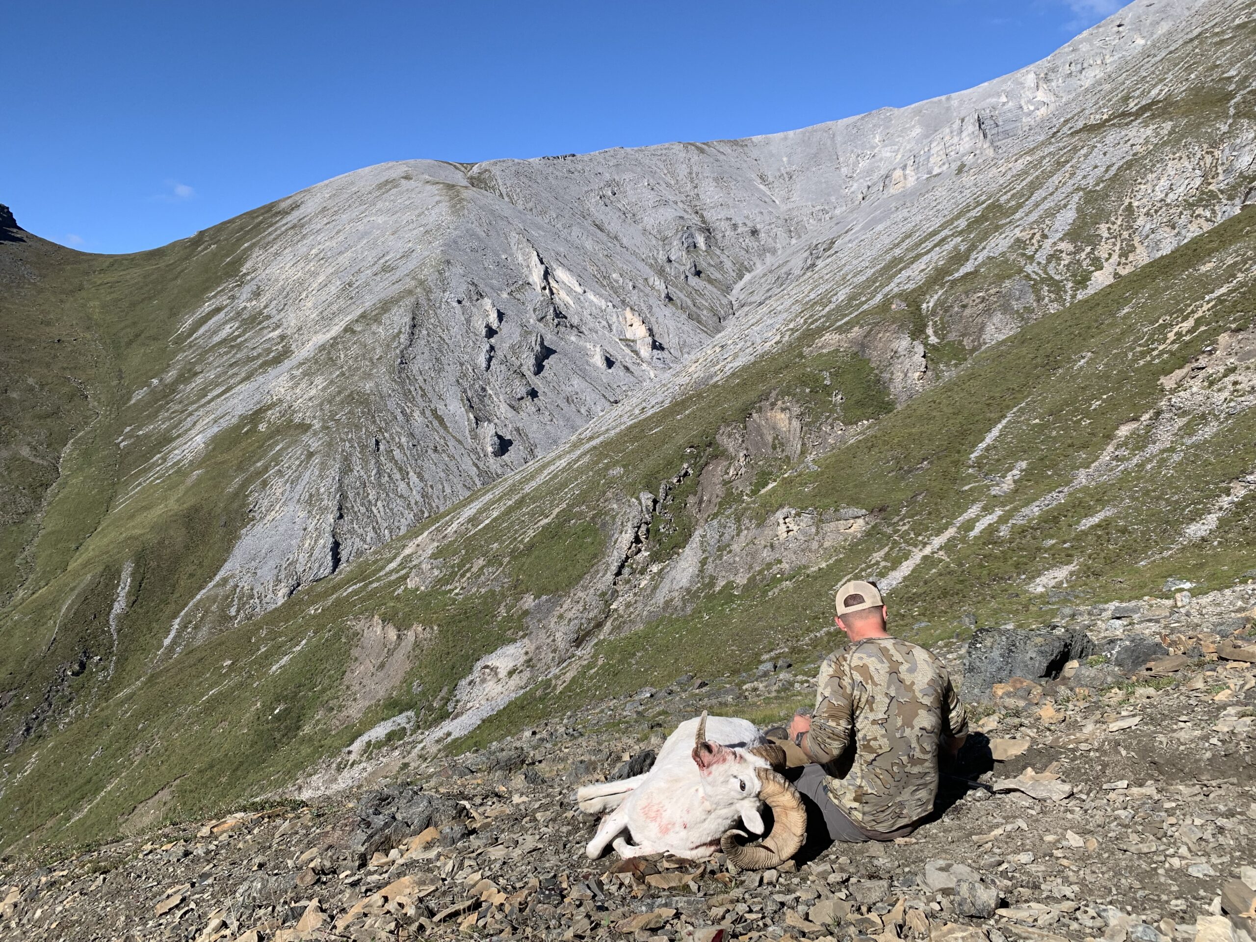 Great Rifles for Mountain Hunting