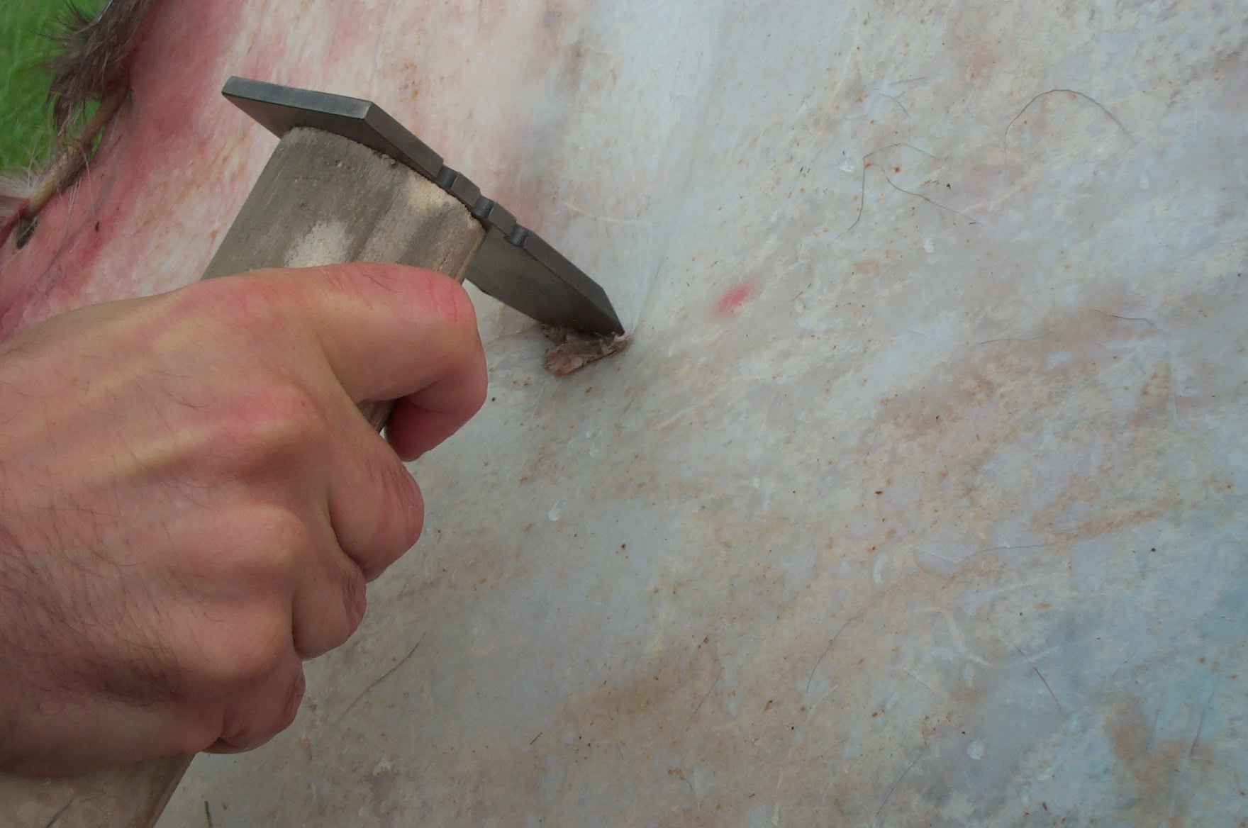 The Ultimate Guide to Tanning Wild Game Pelts and Hides