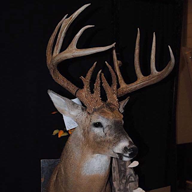 The Biggest Antlered Does You’ve Ever Seen—Including a 200-incher