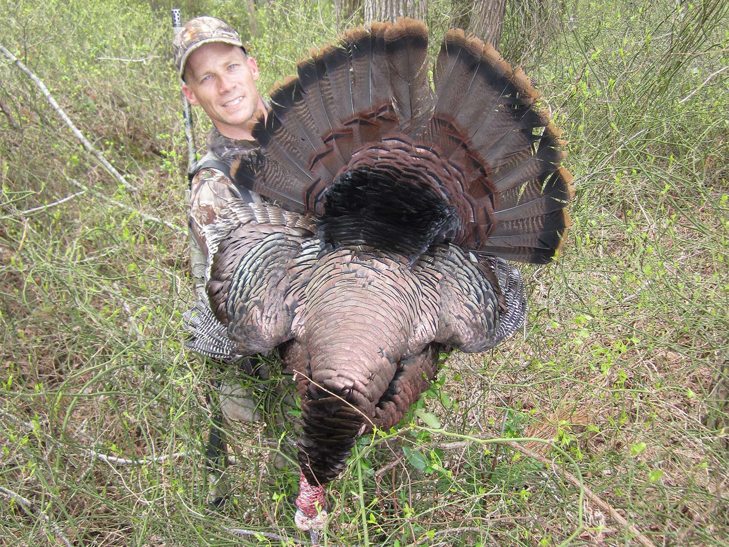 The King of the Turkey Slam