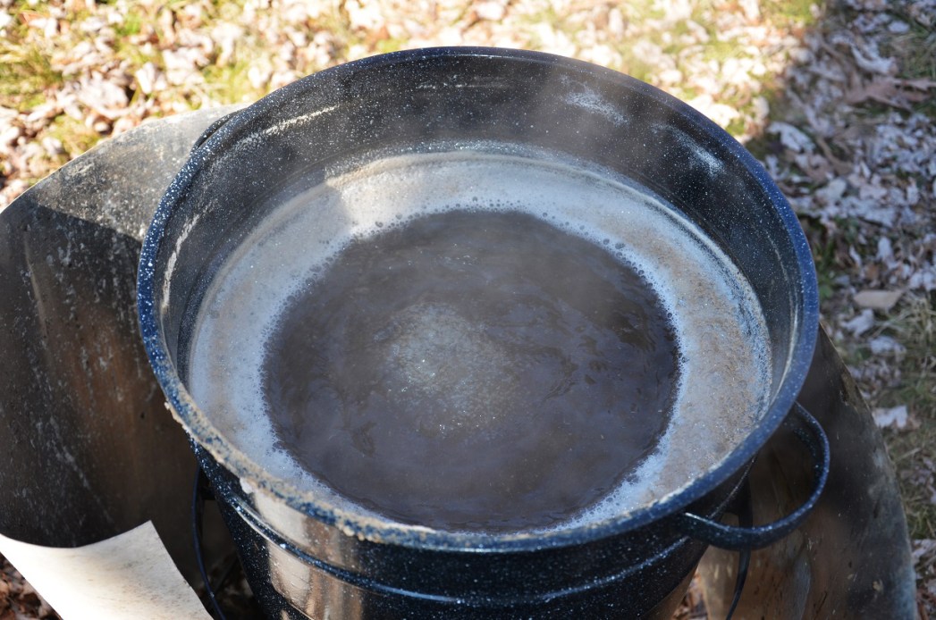 How to Harvest and Make Your Own Maple Syrup (and Utilize Syrup from ...