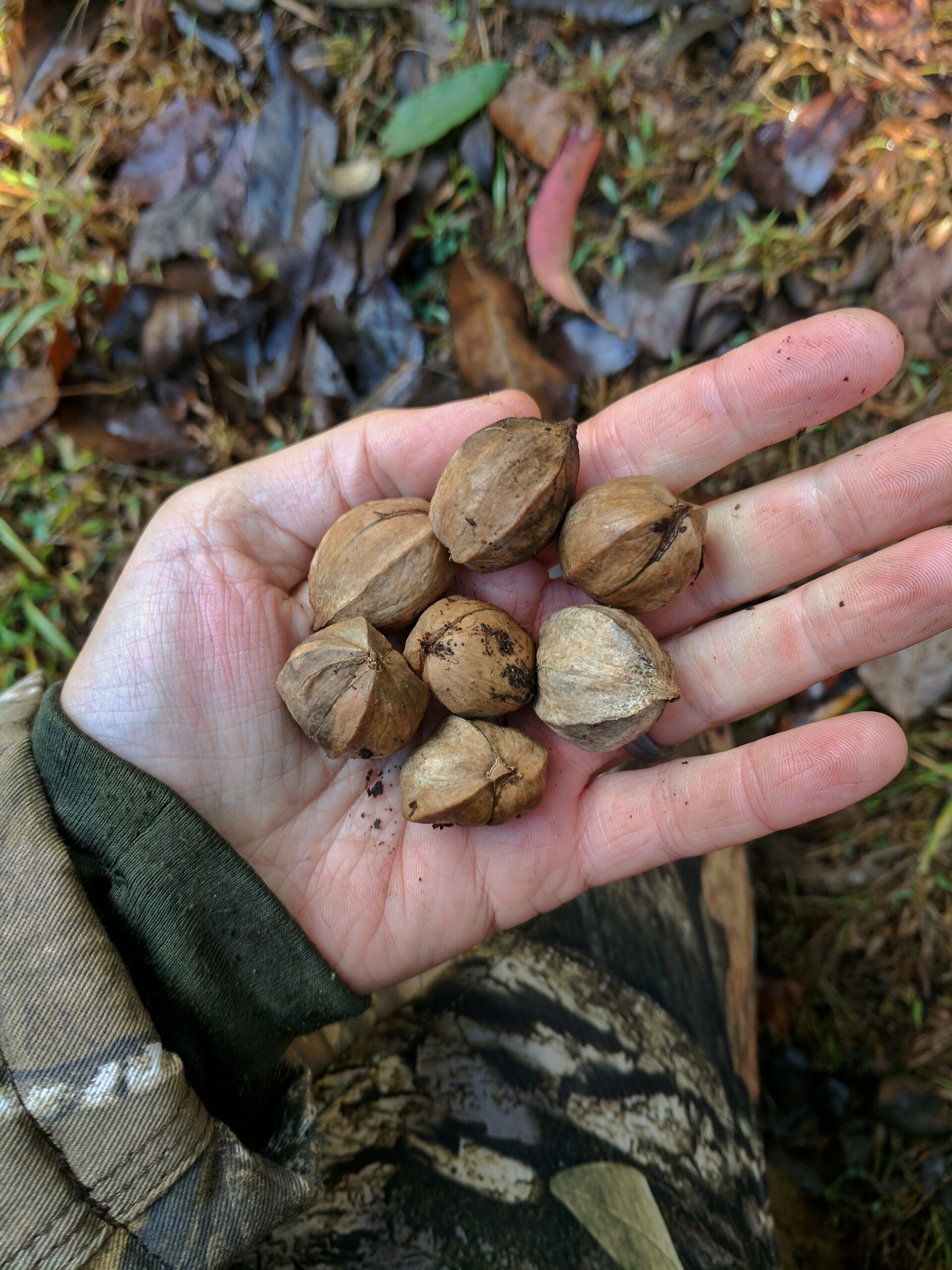 The Case for Squirrel Hunting, and Why It’s Completely Underrated
