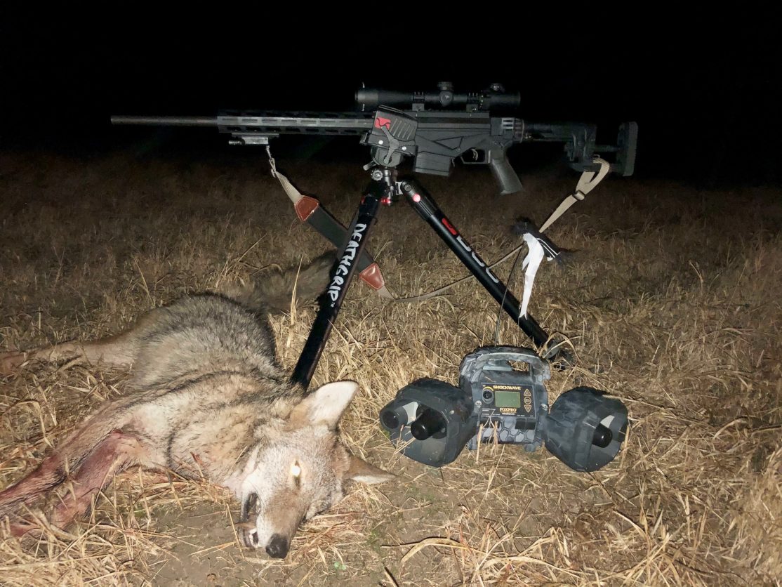 A Professional Coyote Hunter’s 7 Best Tips and Tactics