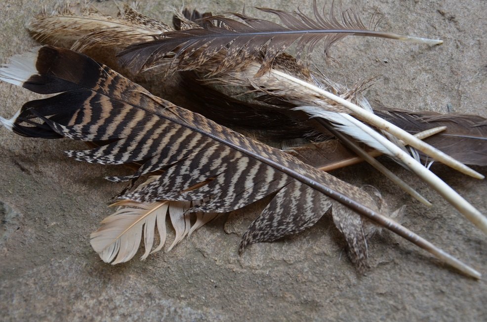 8 Wild Game and Fish Parts That Will Fertilize Your Garden