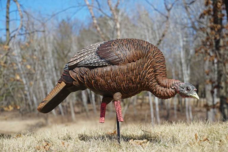 Best Turkey Decoys of 2025, Tested and Reviewed | Outdoor Life