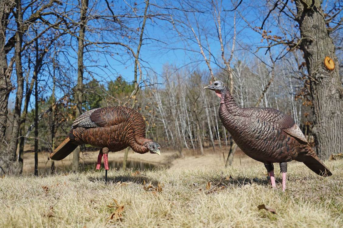 Best Turkey Decoys of 2026, Tested and Reviewed | Outdoor Life