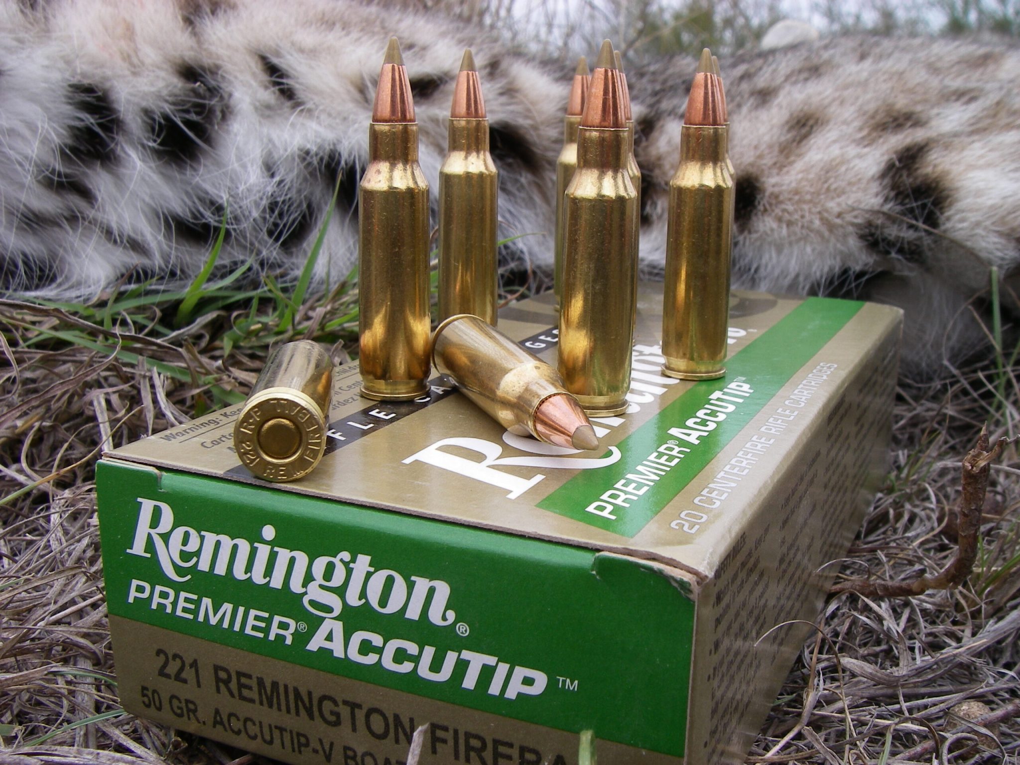 The .222 Rem Spawned Today's Most Popular Cartridges | Outdoor Life