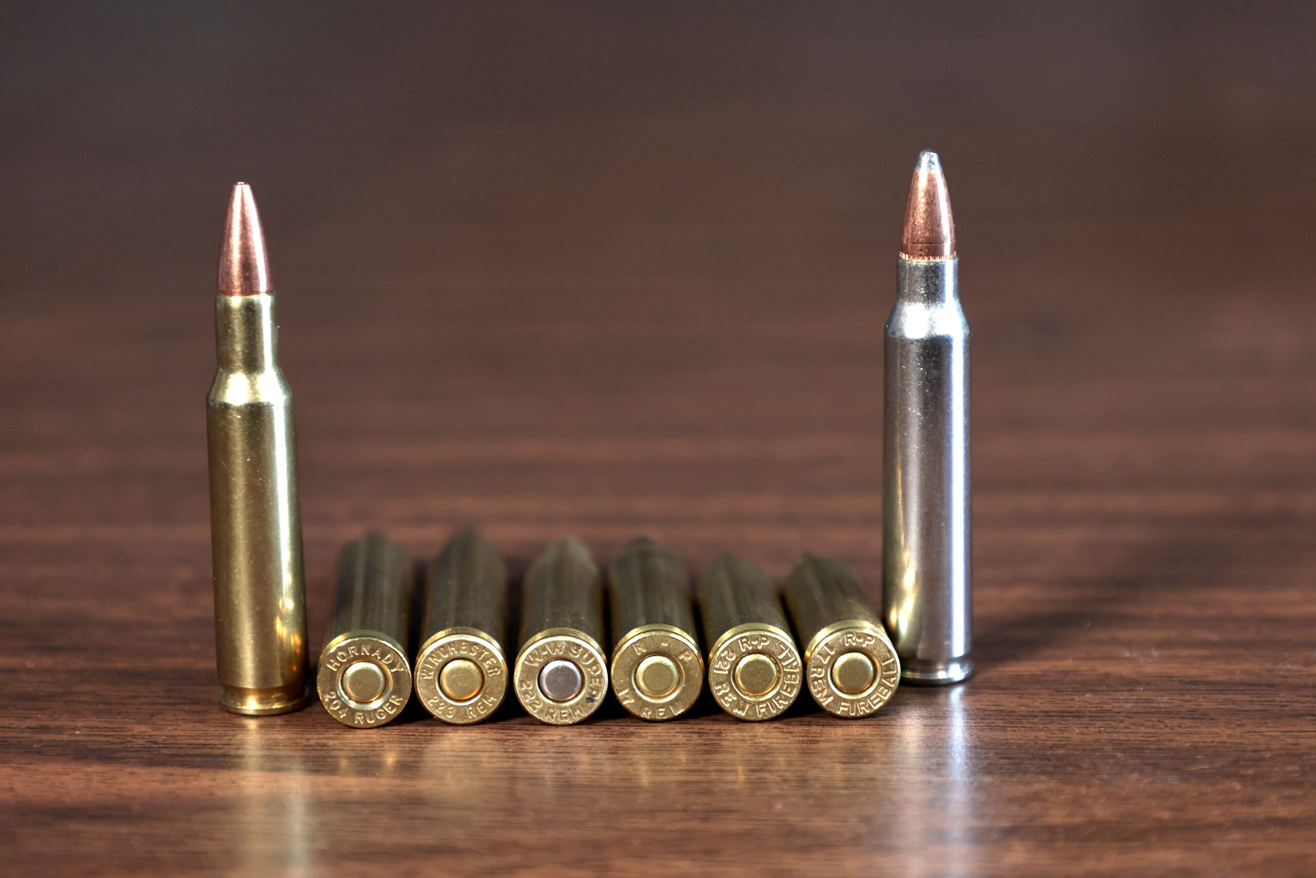 The .222 Rem Spawned Today's Most Popular Cartridges | Outdoor Life