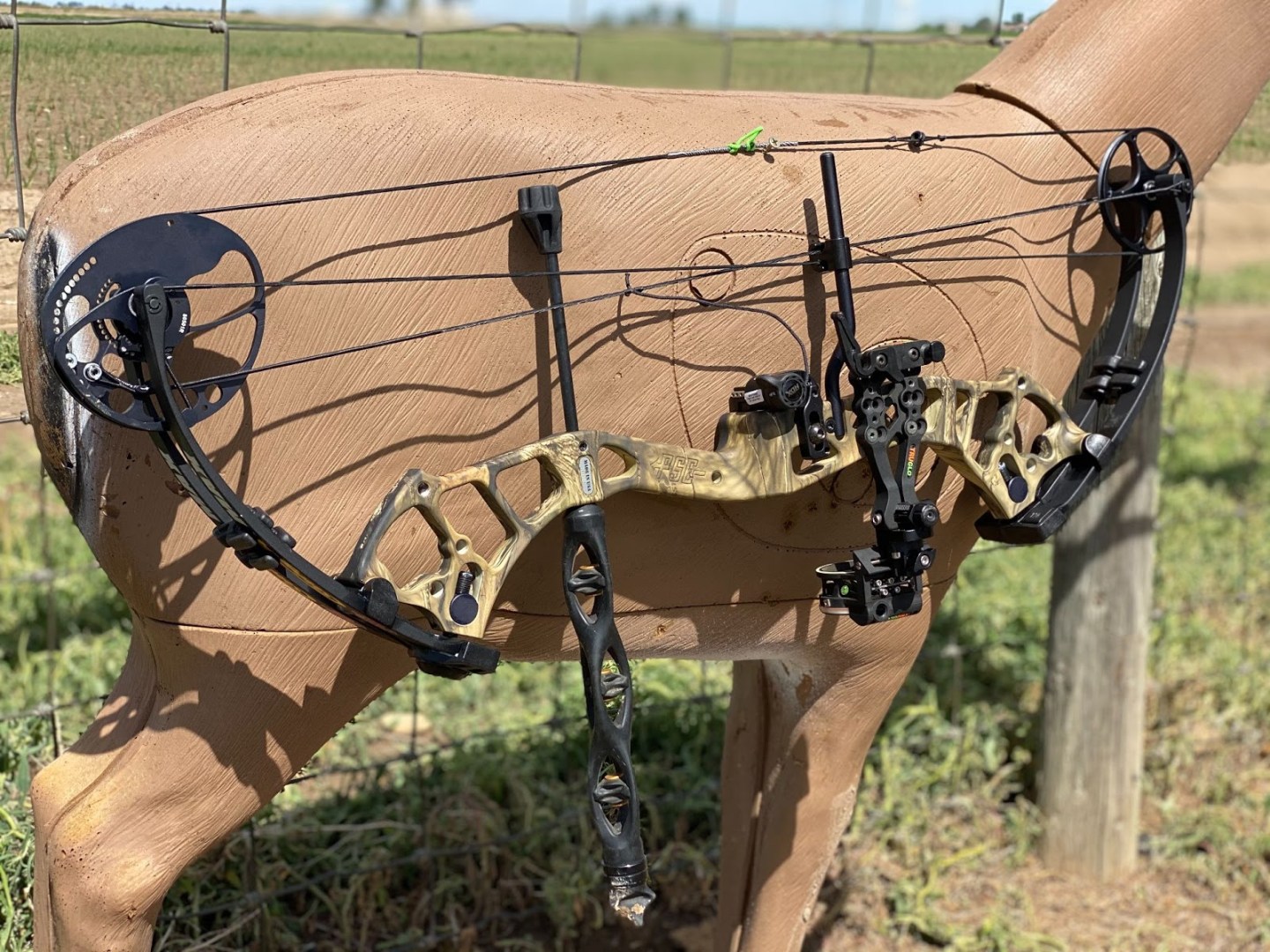 PSE Stinger Max Review: An Affordable Compound Bow | Outdoor Life