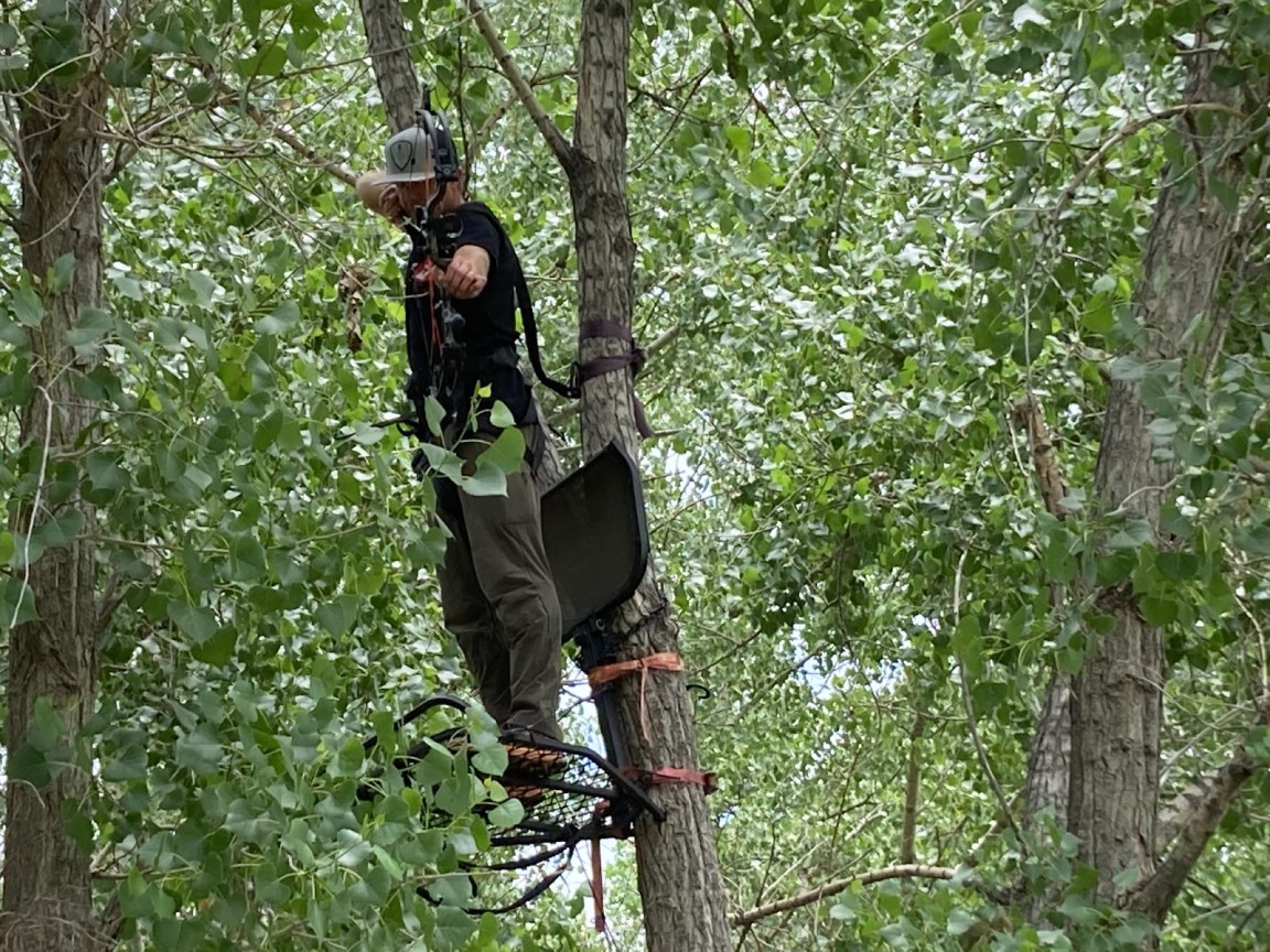 Bear Cruzer G2: Compound Bow Review| Outdoor Life
