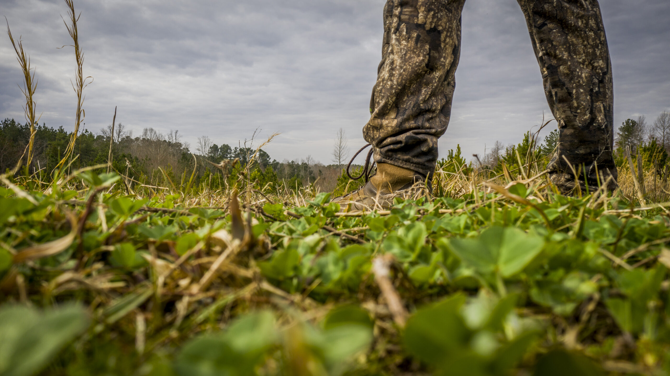 The 4 Best States (and 2 Worst) to Buy Cheap Hunting Land | Outdoor Life