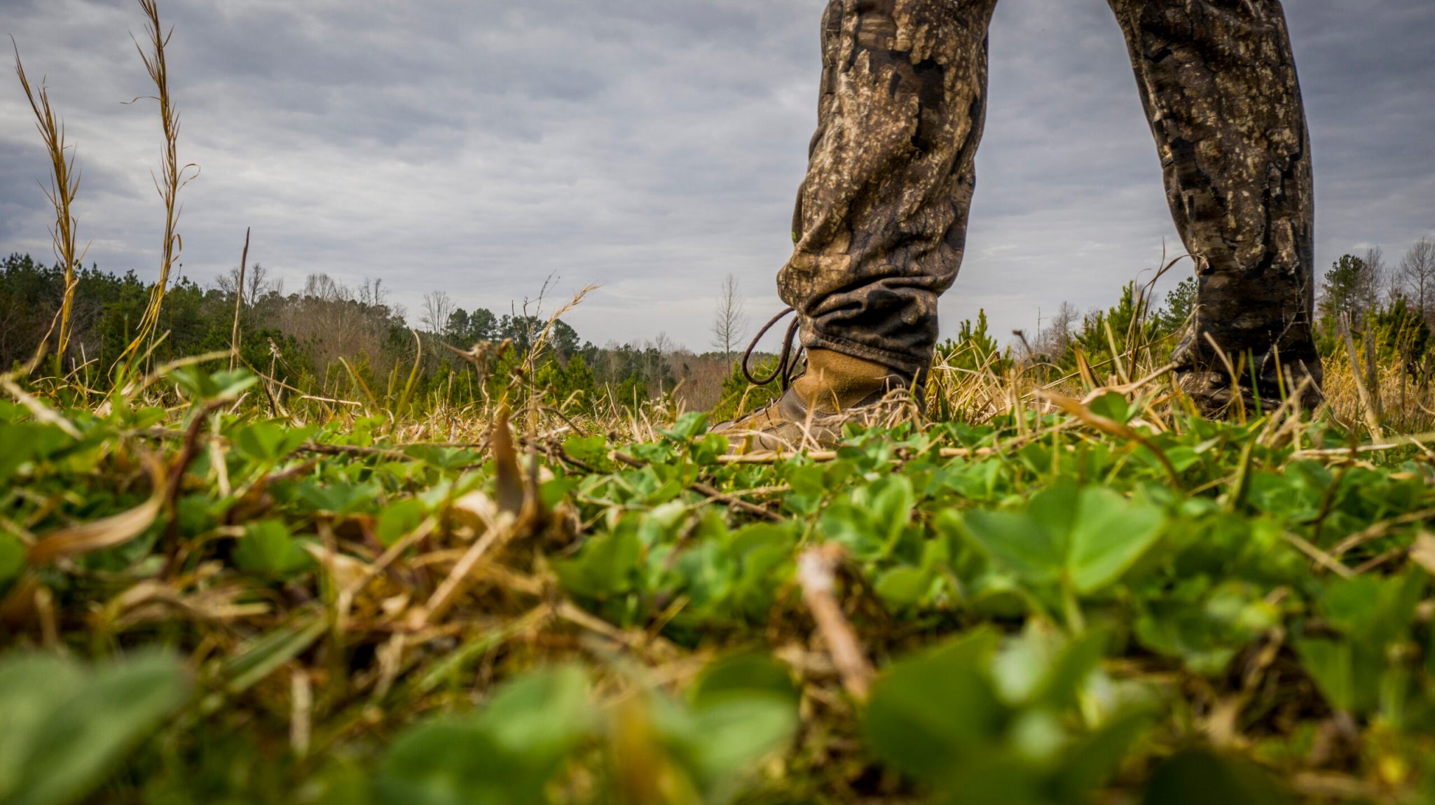 The 4 Best States (and 2 Worst) to Buy Cheap Hunting Land | Outdoor Life