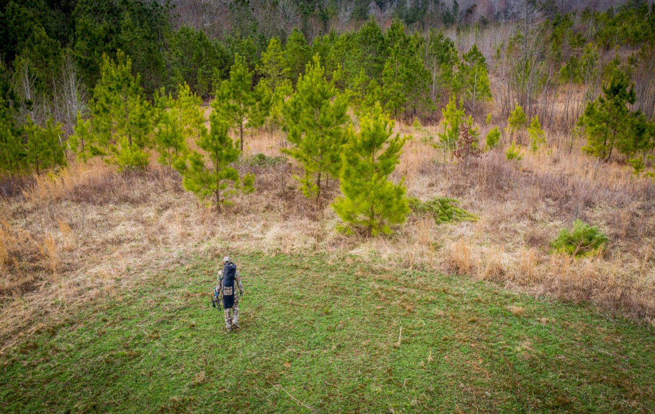 The 4 Best States (and 2 Worst) to Buy Cheap Hunting Land | Outdoor Life