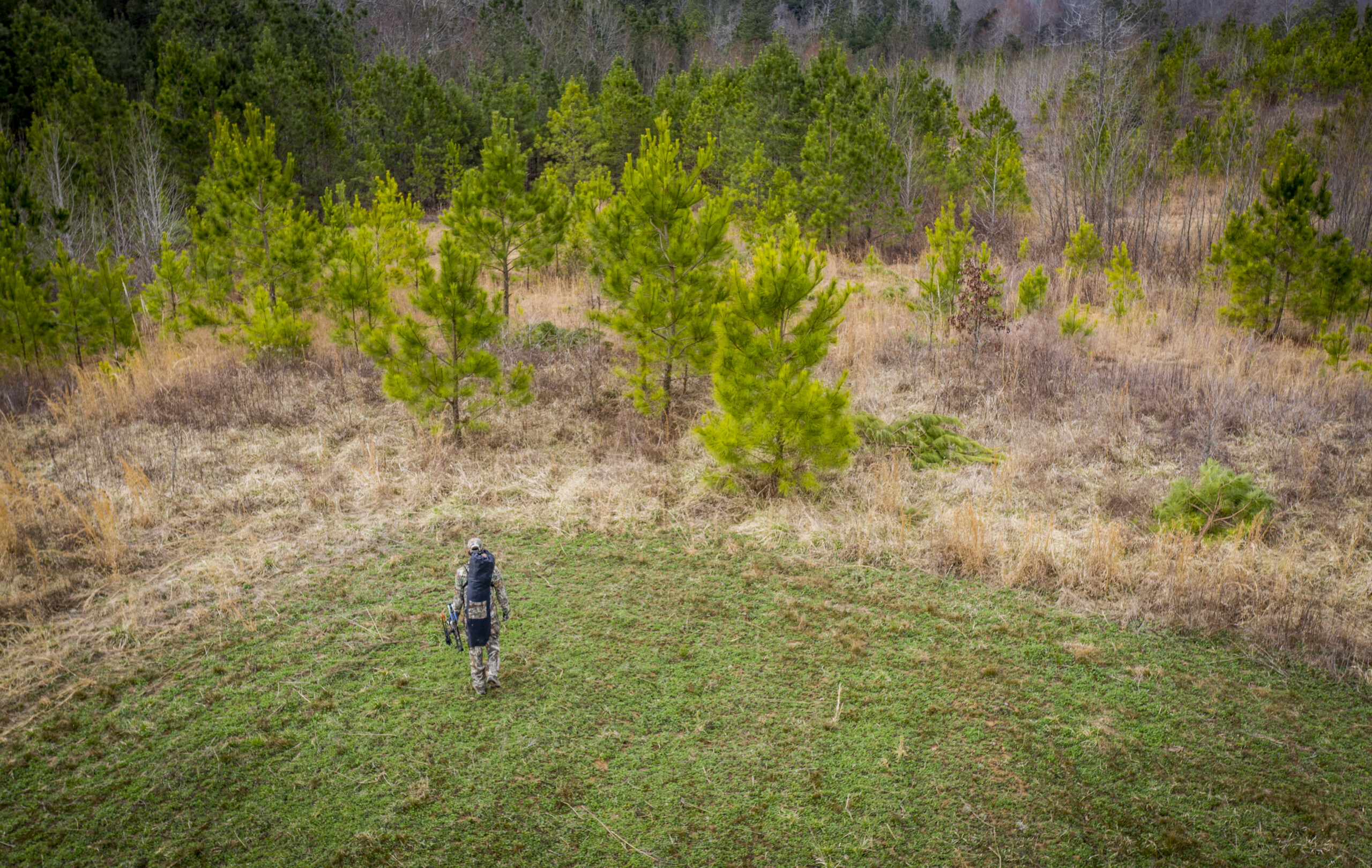 The 4 Best States (and 2 Worst) to Buy Cheap Hunting Land | Outdoor Life