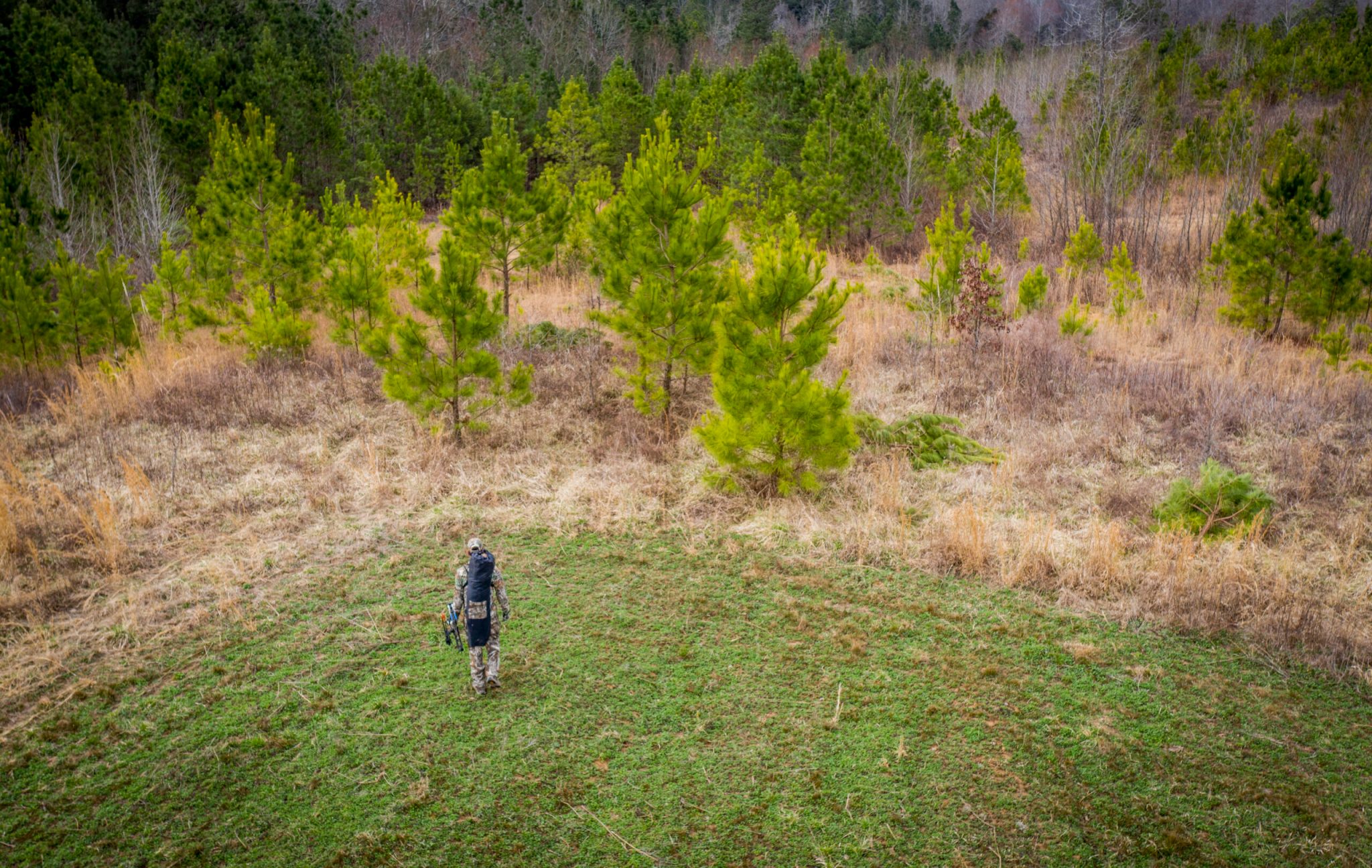 The 4 Best States (and 2 Worst) to Buy Cheap Hunting Land | Outdoor Life