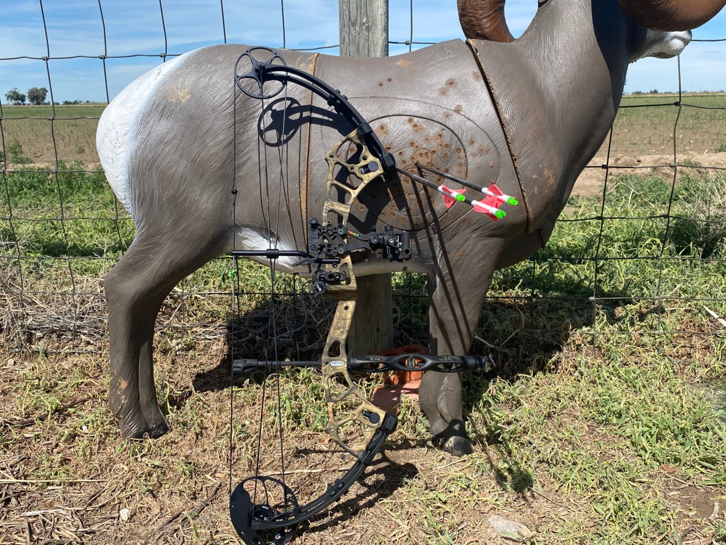 How to Shoot a Compound Bow: Archery Shot Execution | Outdoor Life