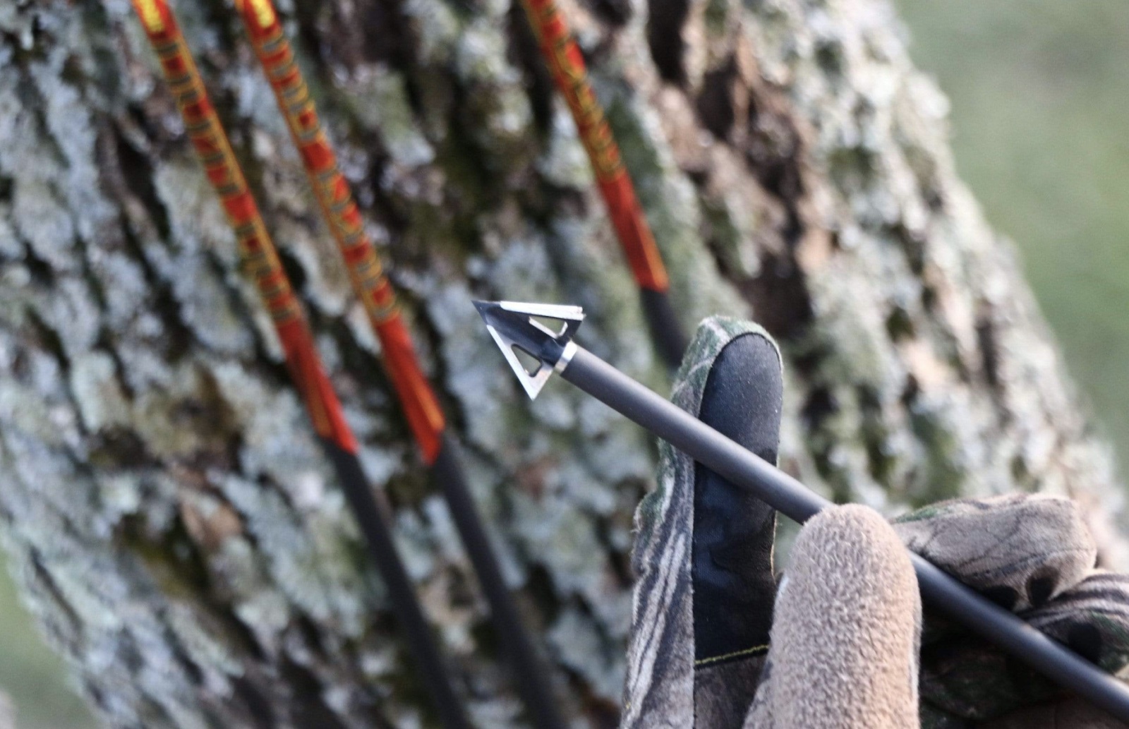 Best Crossbow Broadheads for Hunting | Outdoor Life