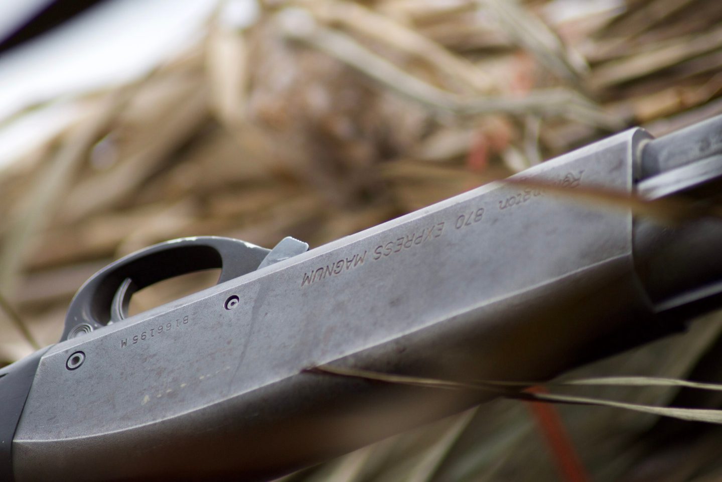 The 870 Express Is a Better Buy Than the 870 Wingmaster | Outdoor Life