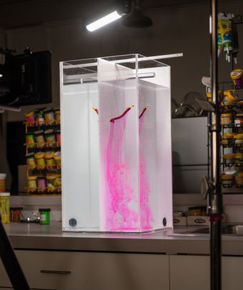 Do Scented Fishing Lures Actually Work? | Outdoor Life