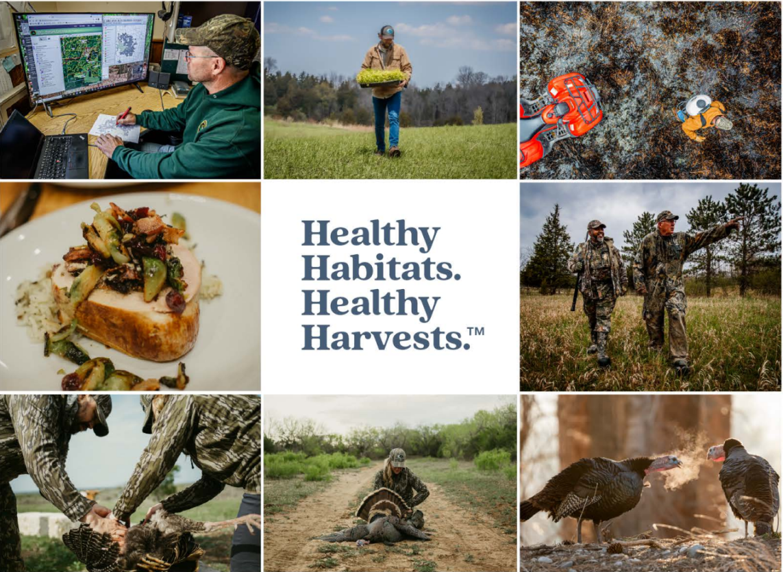 The NWTF and Turkeys for Tomorrow on Habitat, Hunters, and More ...