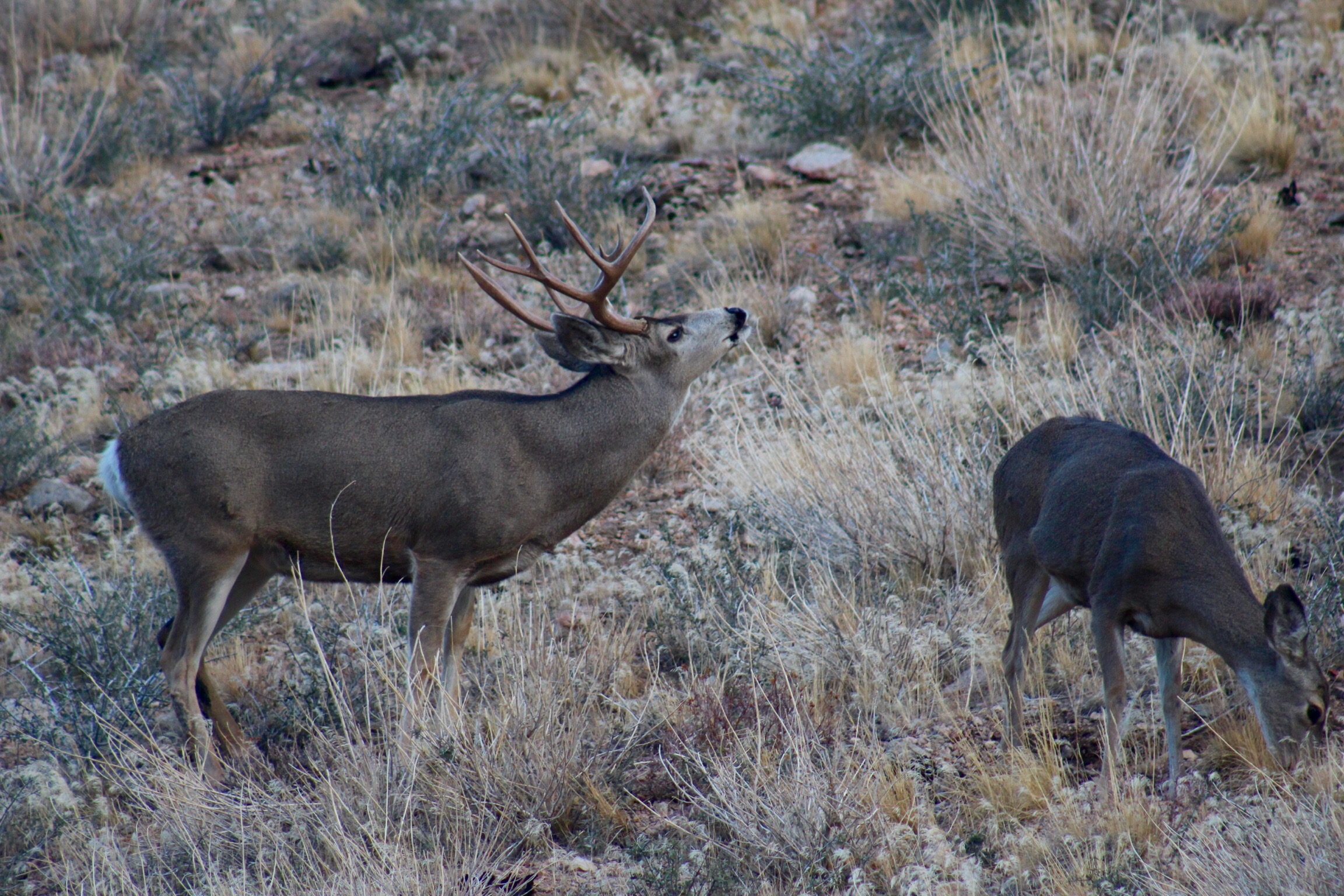 3 Anti-Hunting Arguments We Should Actually Worry About | Outdoor Life