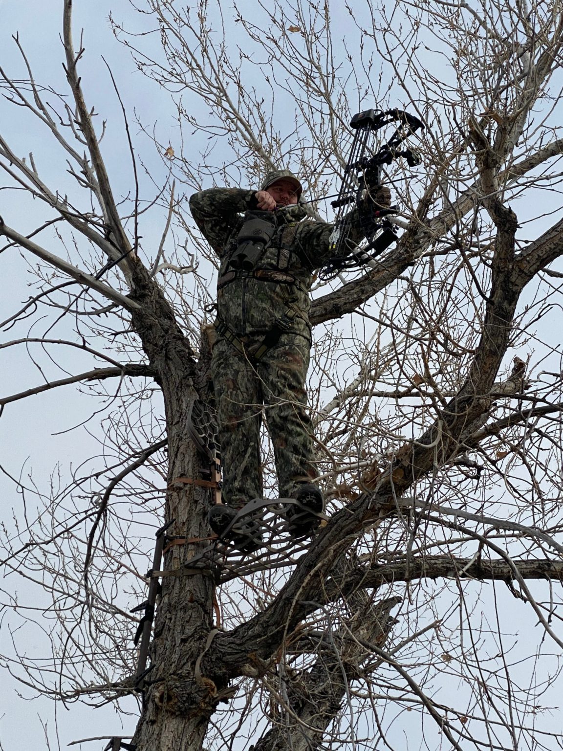 The Best Compound Bow Setup for Hunting Deer | Outdoor Life