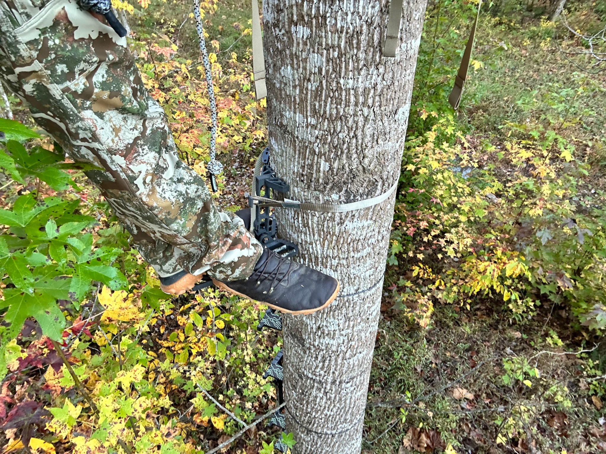 Best Hunting Boots of 2025, Chosen by the Editors