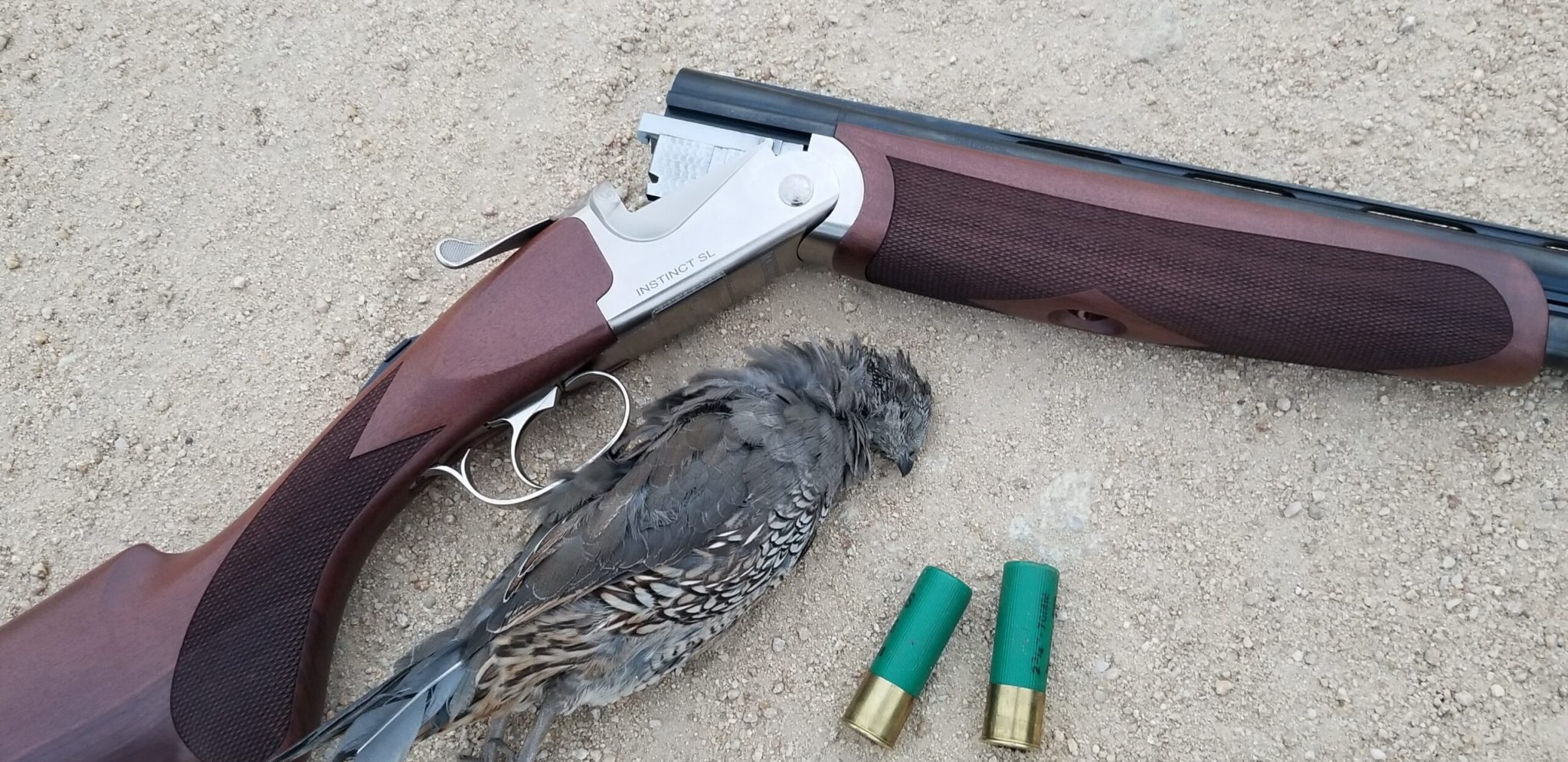 Best 16-Gauge Shotguns. Plus, Why the 16 is so Versatile | Outdoor Life