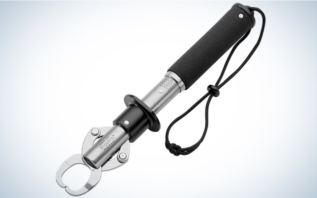 Best Fish Scales of 2025 | Outdoor Life